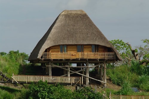 Kibale National Park - Activities, Accommodation and Location